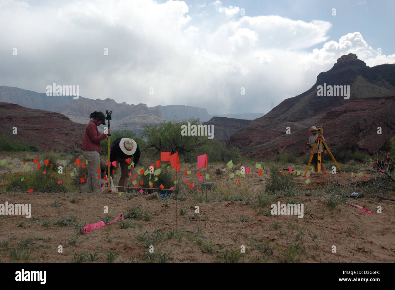 The Grand Canyon archaeological excavation projects uncover Native ...