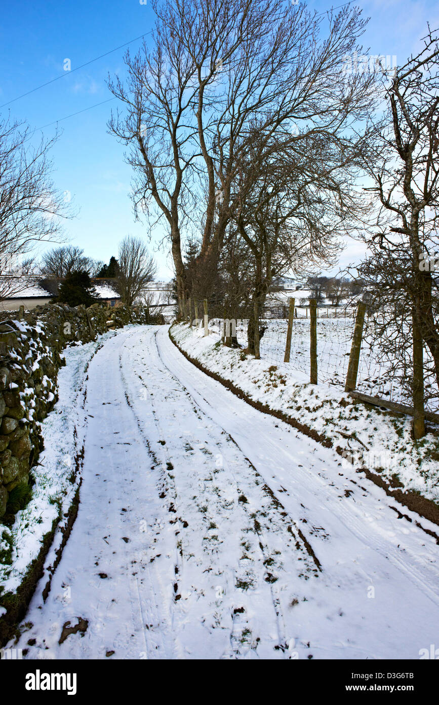 Farm track snow trees hi-res stock photography and images - Alamy