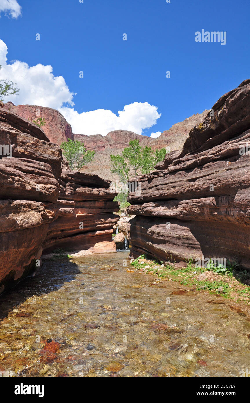 Deer Creek, located in Grand Canyon National Park, offers a riparian ...
