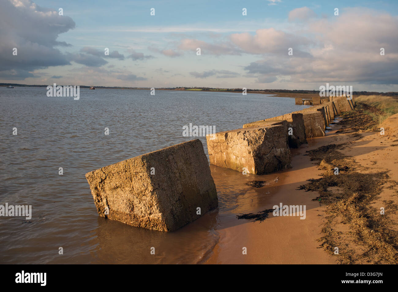 WW2 anti invasion concrete blocks Bawdsey Ferry Suffolk UK Stock Photo ...
