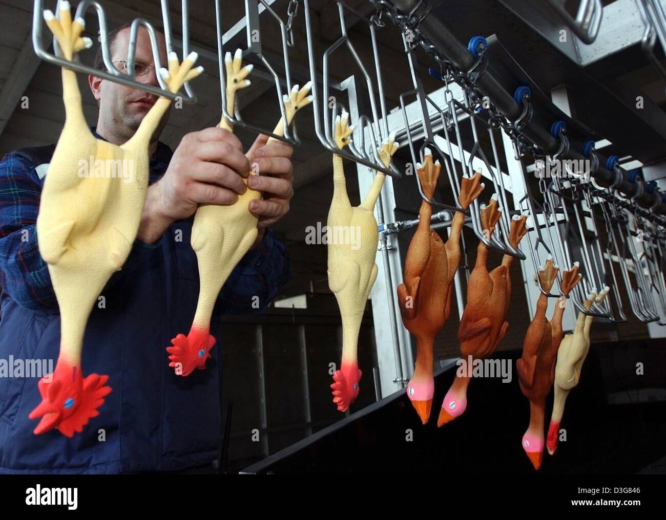 Rubber chicken hanging hi-res stock photography and images - Alamy