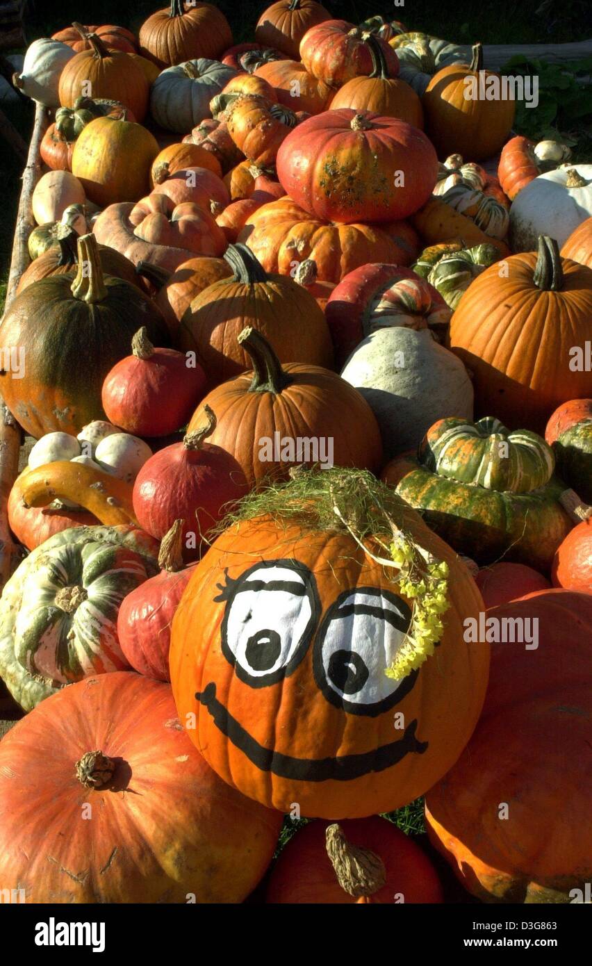 (dpa) - A 'smiling' pumpkin with green hair made from hay sits on a ...