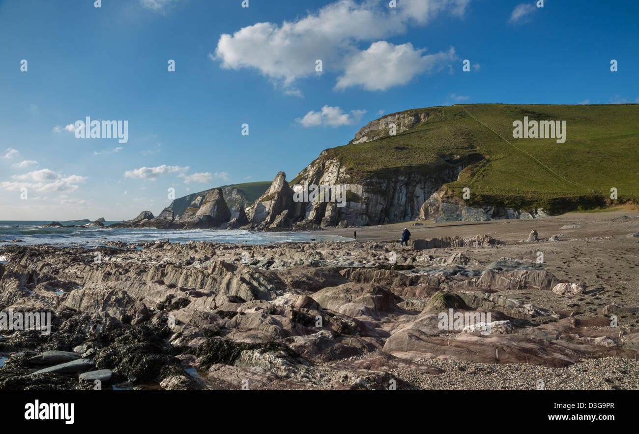 The rocky coastline of Westcombe Beach in South Devon Uk Stock Photo ...