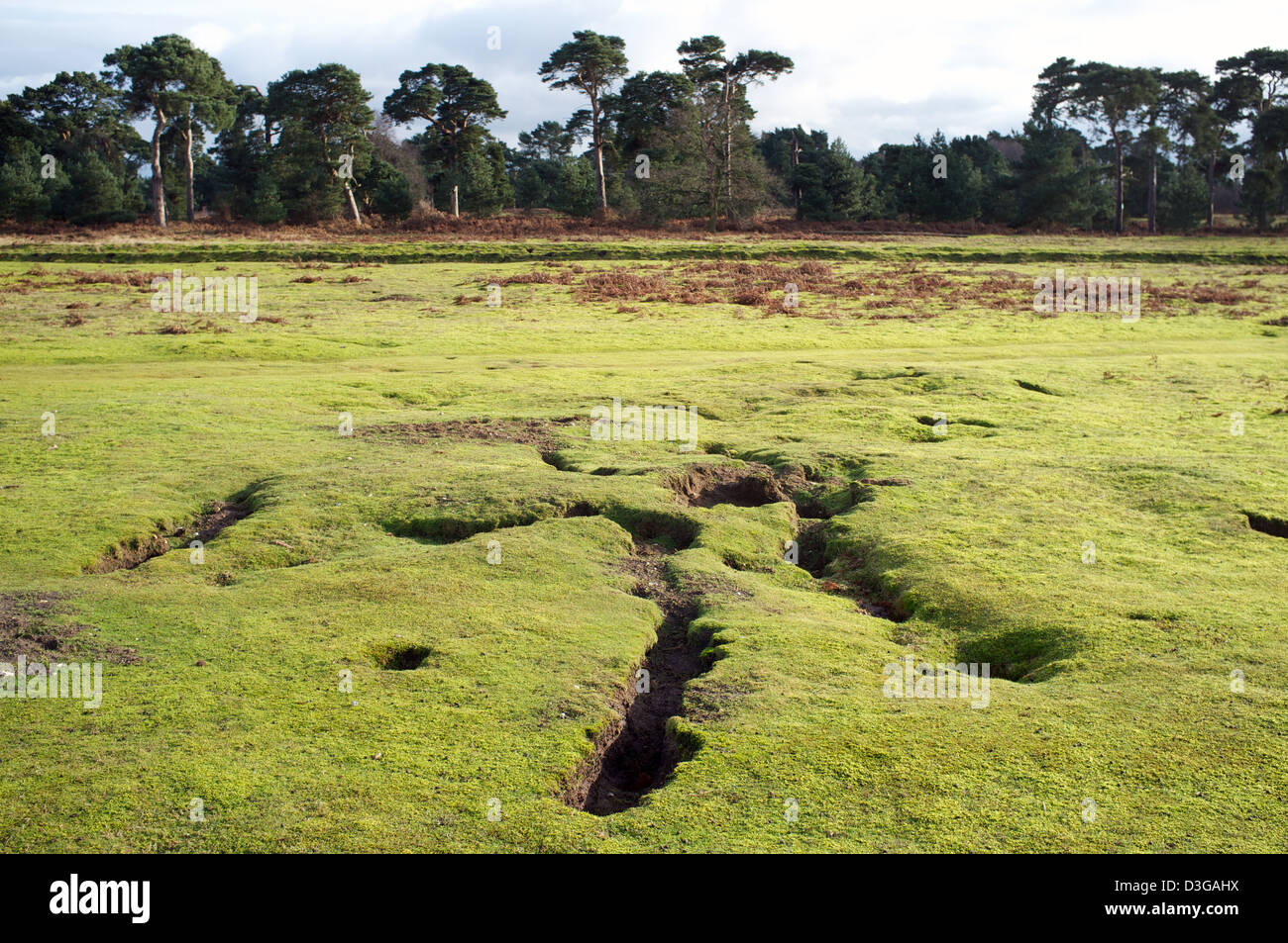 Rabbit warren uk hi-res stock photography and images - Alamy