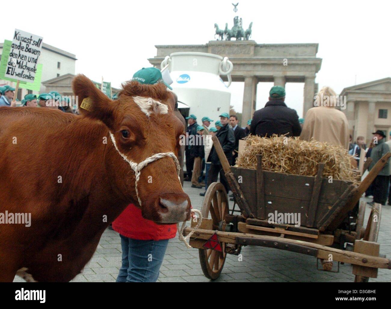 (dpa) - Farmers from the German state of Hesse protest against low milk ...