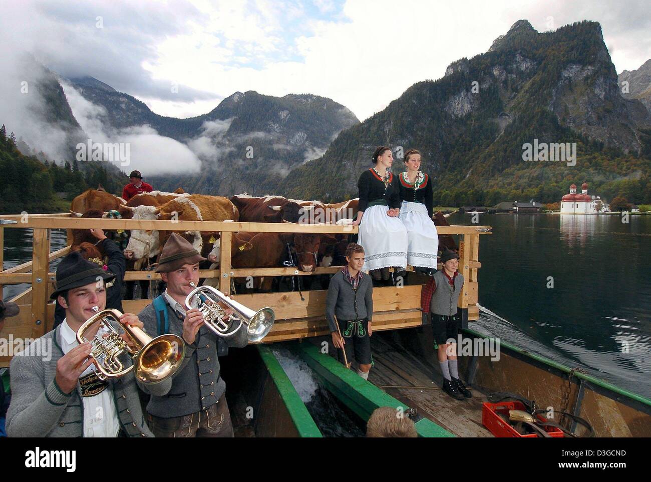 (dpa) - Trumpet players and dairymaids accompany a load of cattle on ...