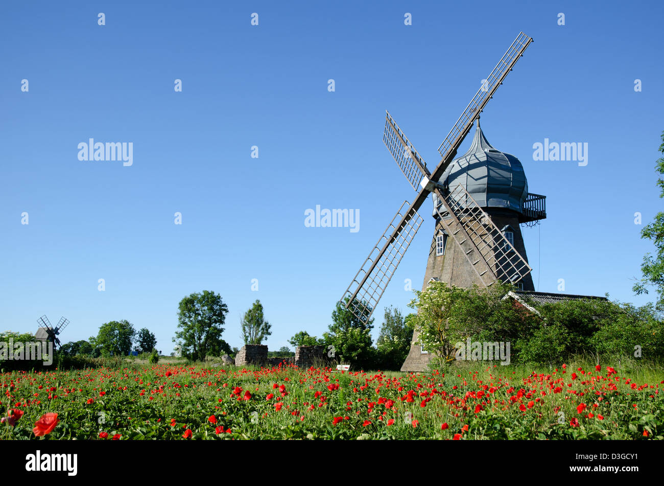 Windmill at a poppy field Stock Photo - Alamy