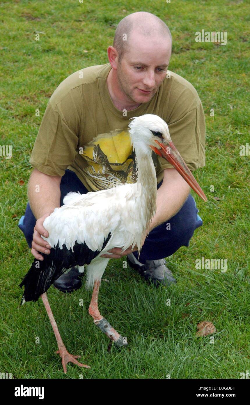 (dpa) - Animal welfare activist Jens Krueger attends to his one-legged ...