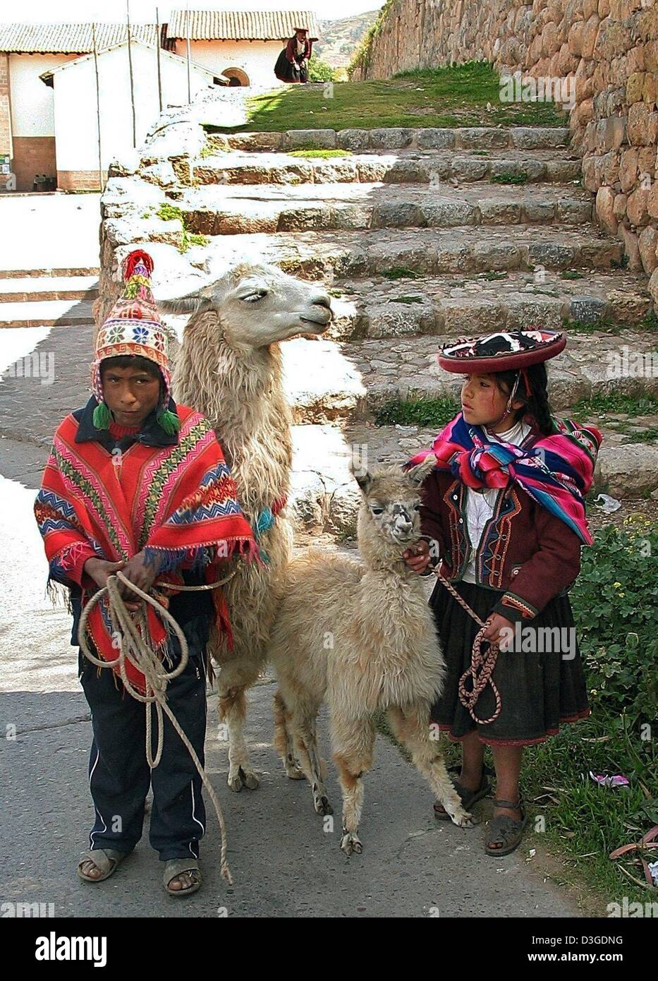 (dpa) - Two young children lead two alpakas in the higlands in Peru, 20 ...