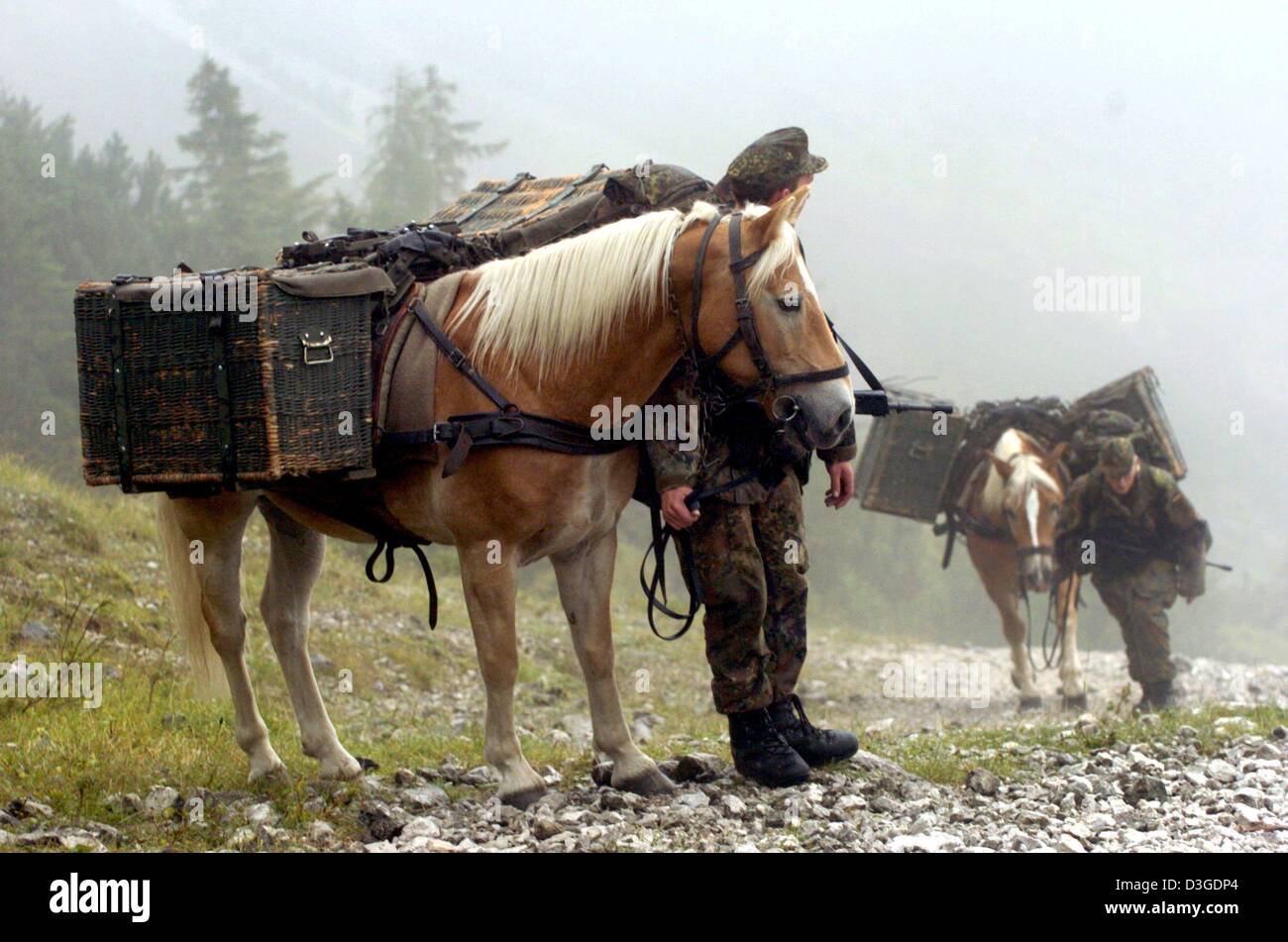 (dpa) - Private Maria Heinze and her horse 'Nados' (L) wait for a ...