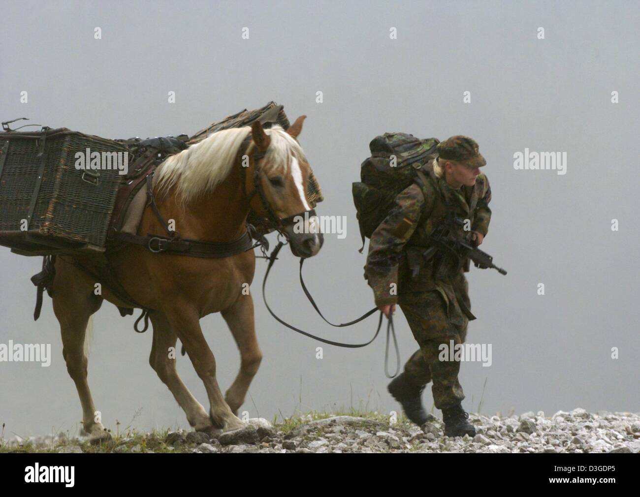 (dpa) - Private Maria Heinze leads her horse 'Nados' during the ...