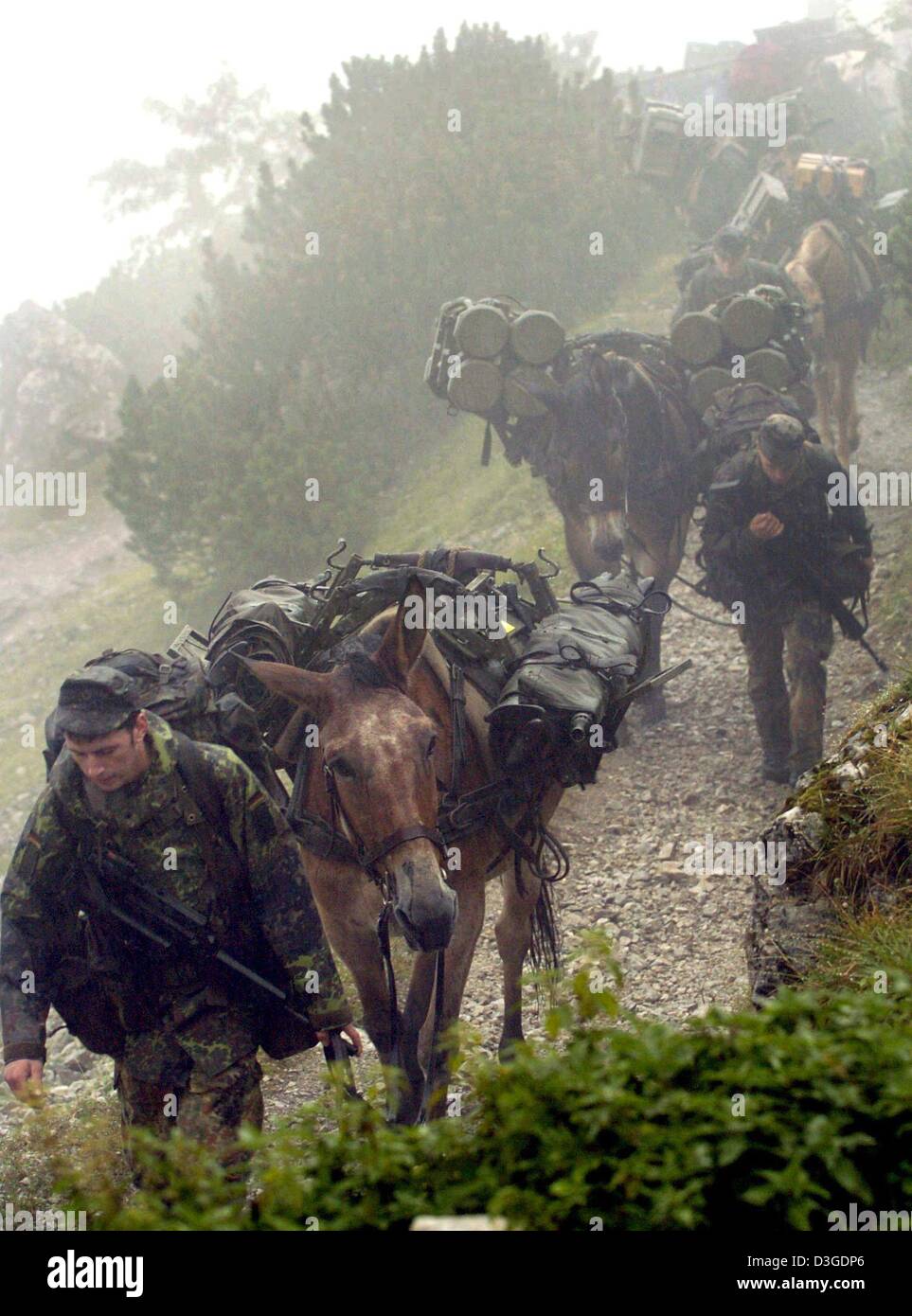 Politics pol defence army military horses animals soldiers uniforms ...