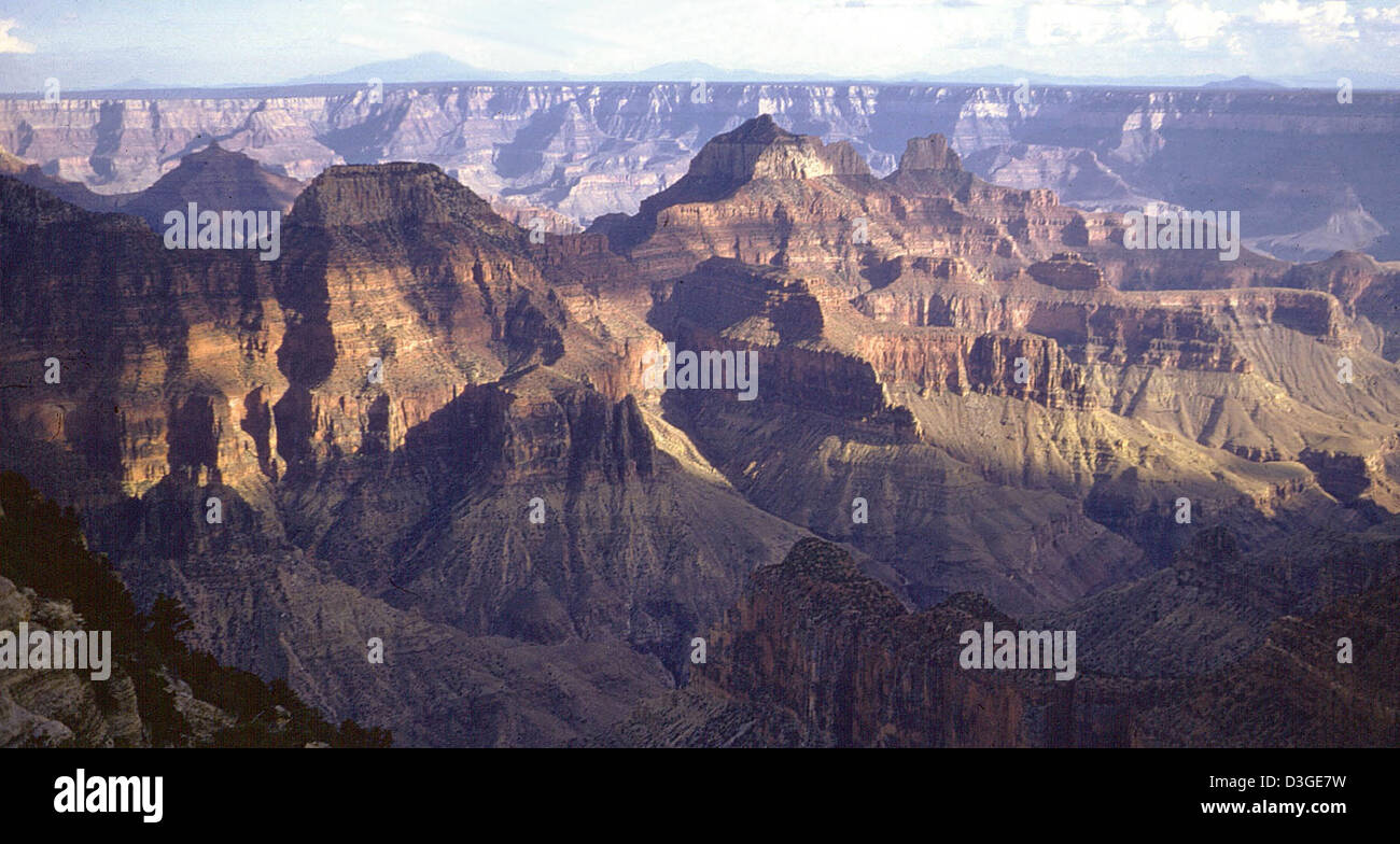 Grand Canyon National Park: North Rim - Bright Angel Point T0008 Stock ...