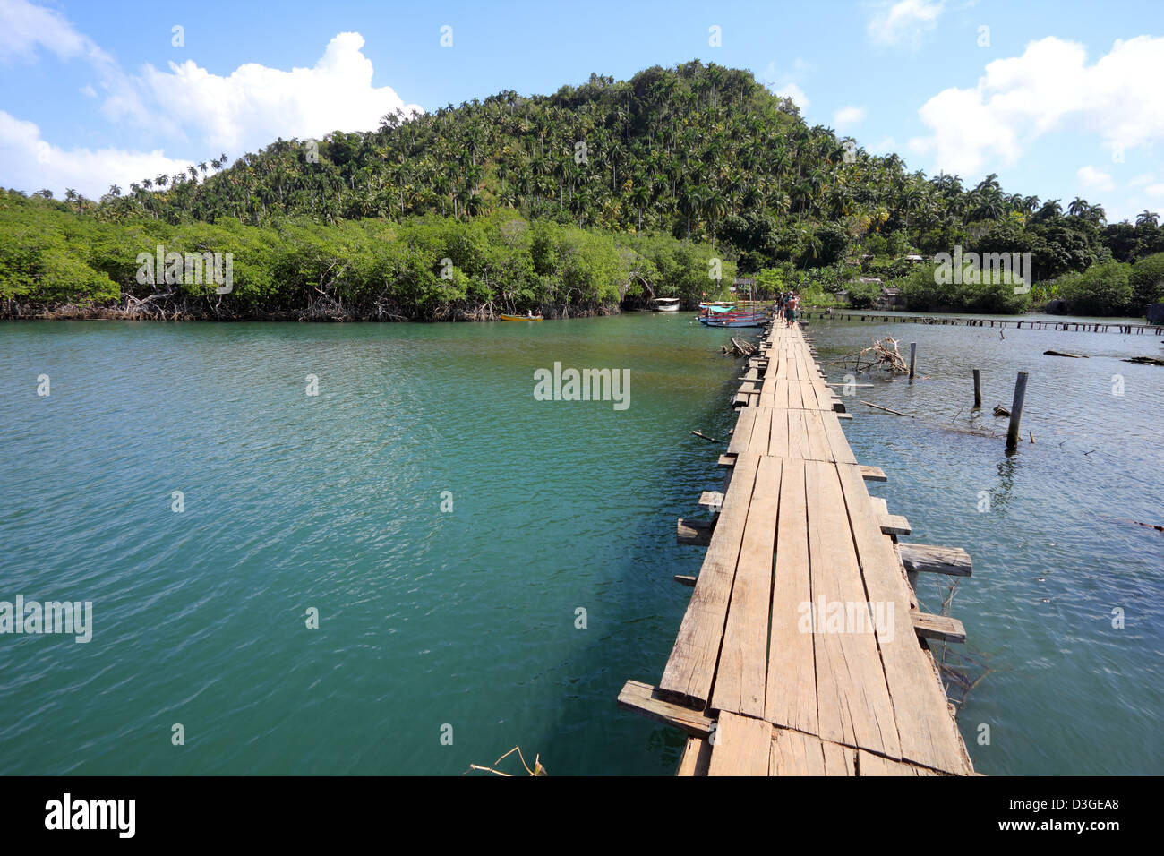 Baracoa cuba jungle hi-res stock photography and images - Alamy