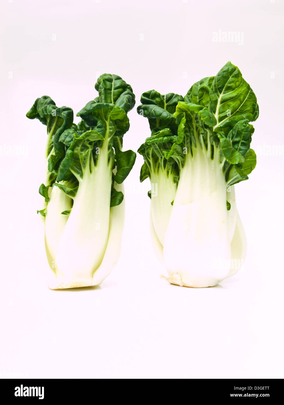 Bunch of Fresh baby bok choy, Brassica rapa chinensis, isolated on ...