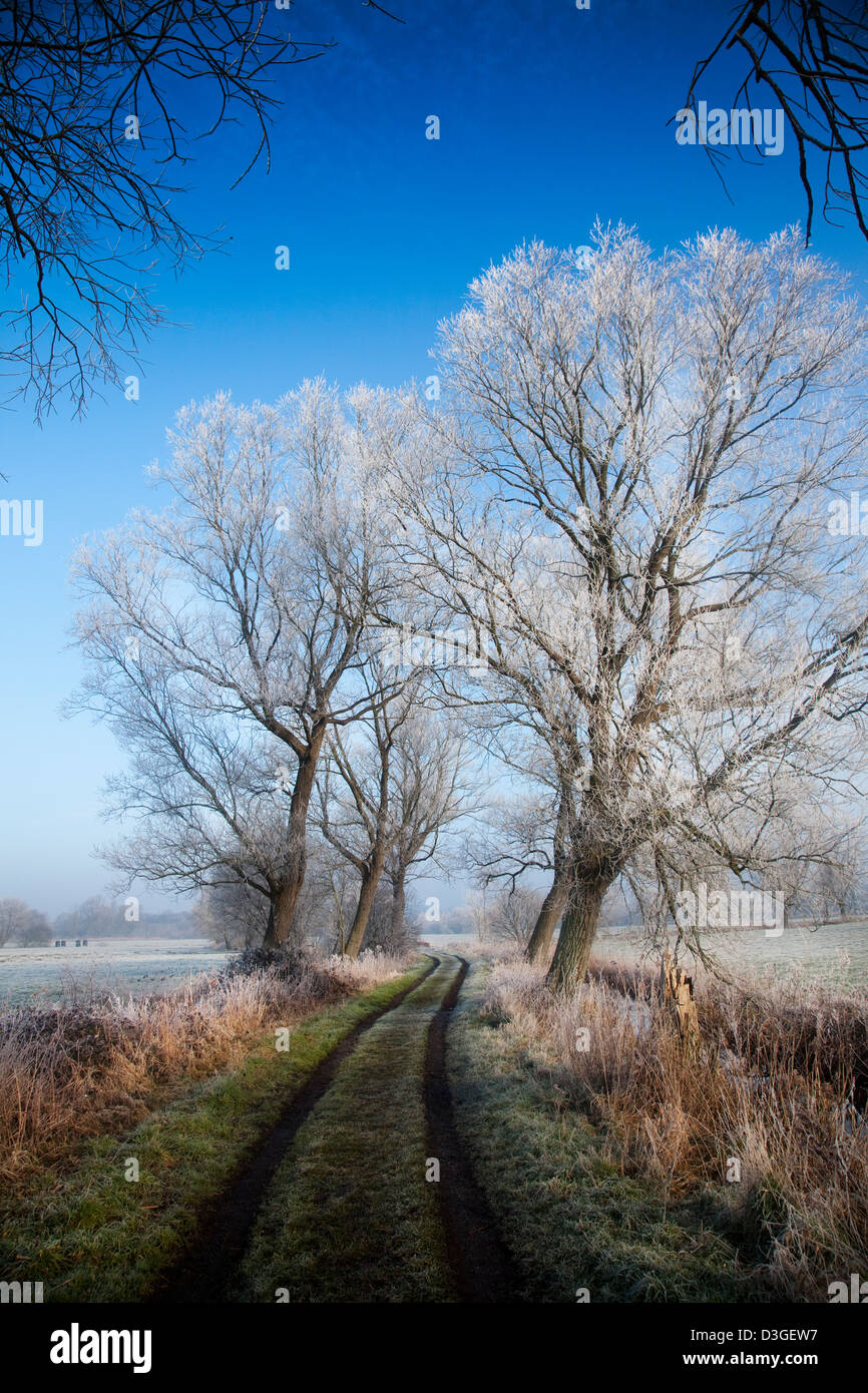 Beccles marshes Suffolk Stock Photo - Alamy