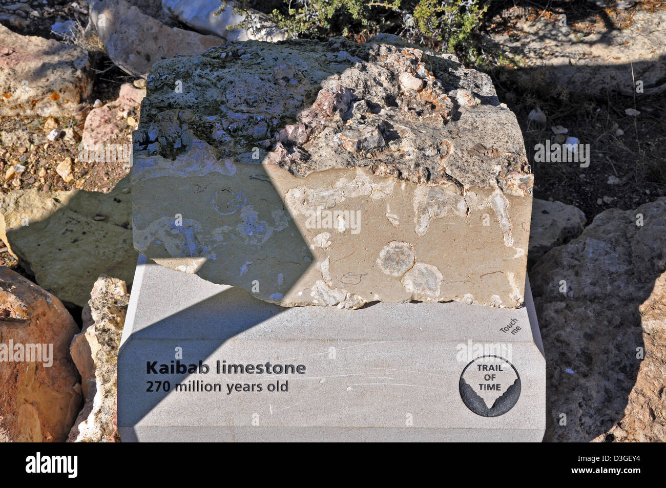 The Grand Canyon Trail of Time showcases Kaibab Limestone, offering an ...