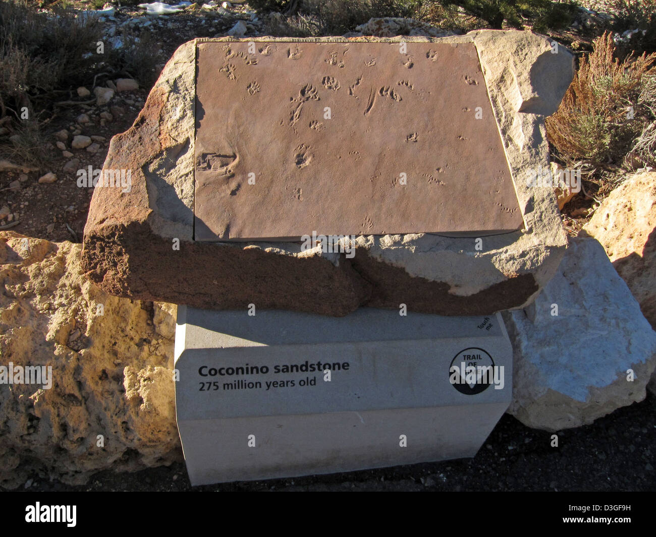 The Coconino Sandstone, part of the Trail of Time at Grand Canyon ...