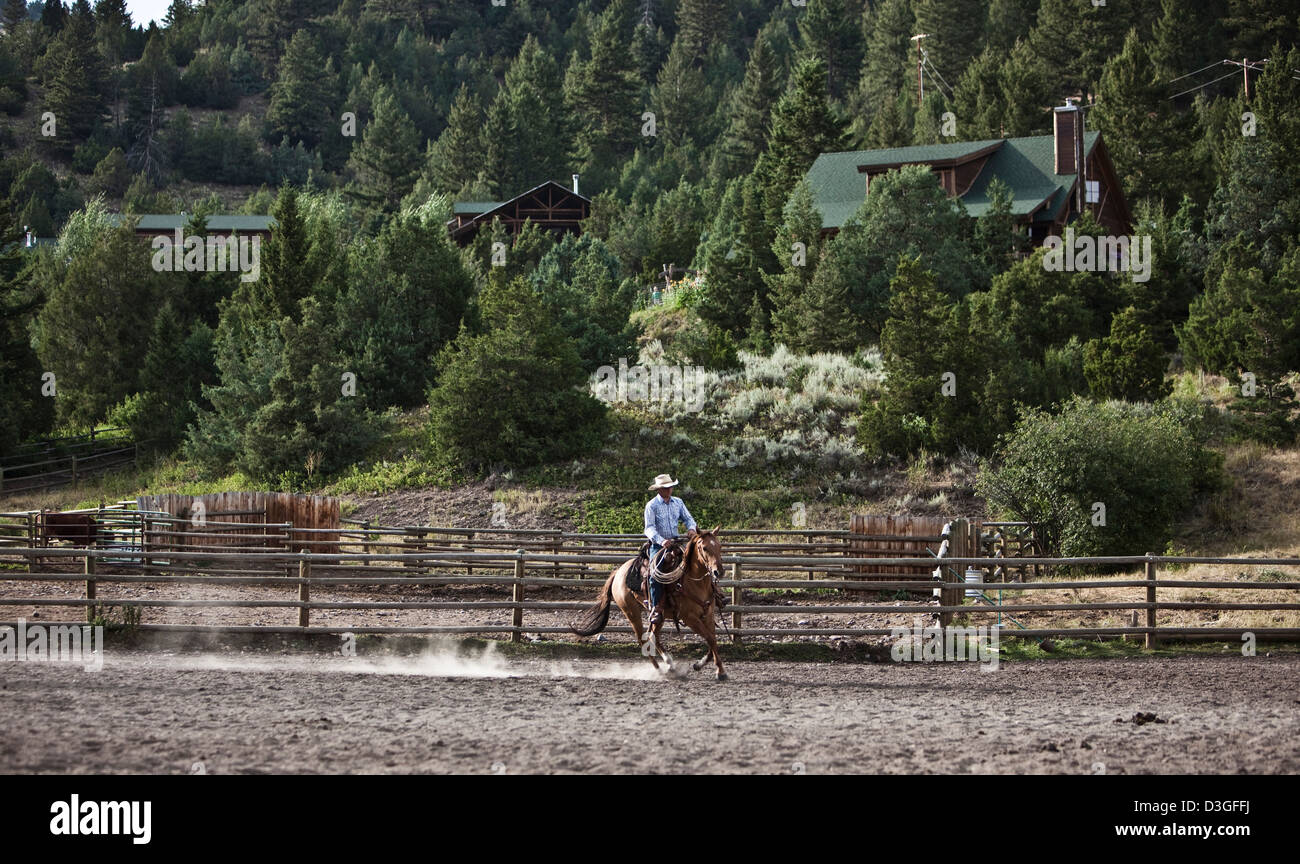 Cowboy wrangler hi-res stock photography and images - Alamy