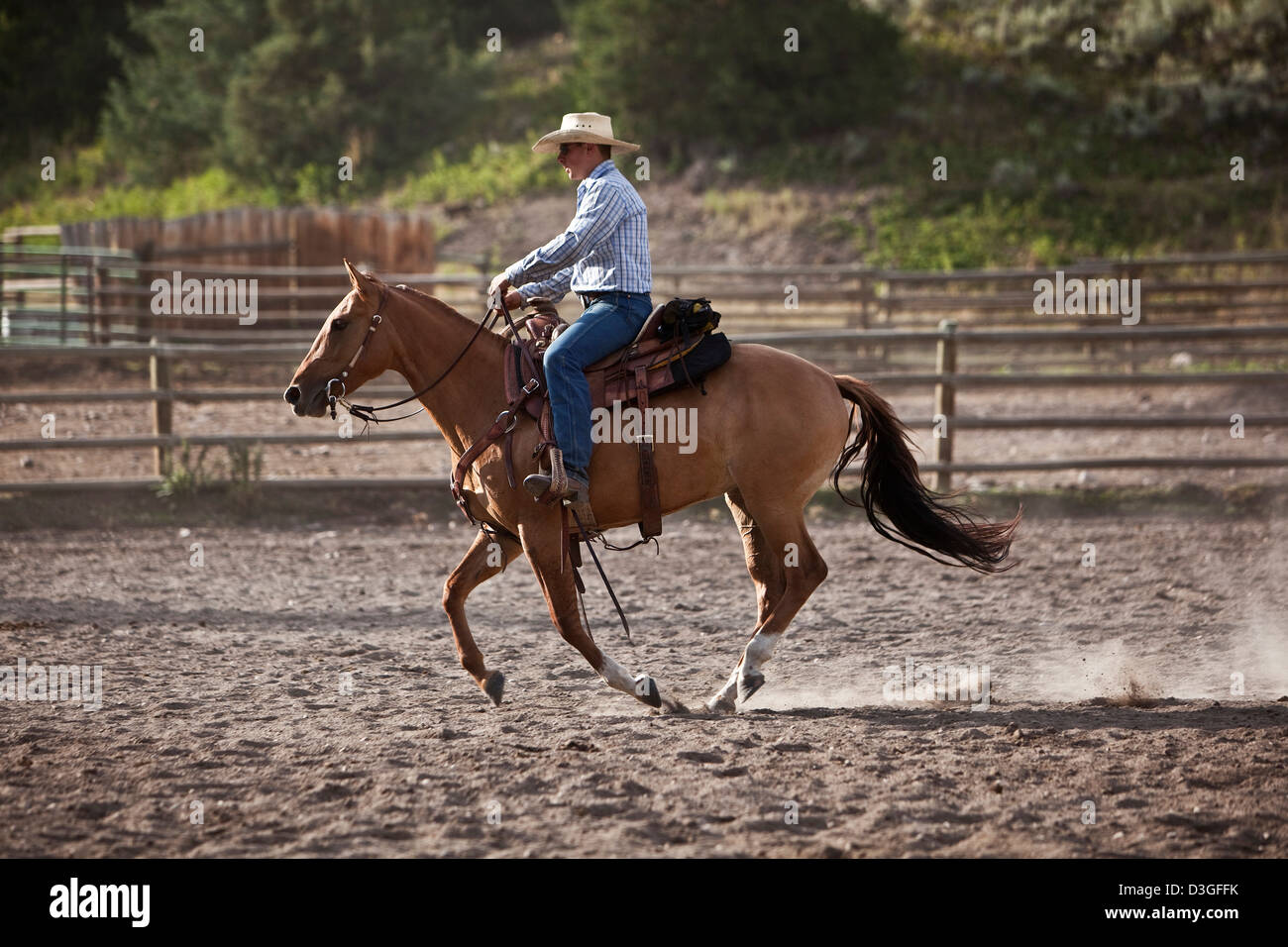 Cowboy wrangler riding in ranch hi-res stock photography and images - Alamy