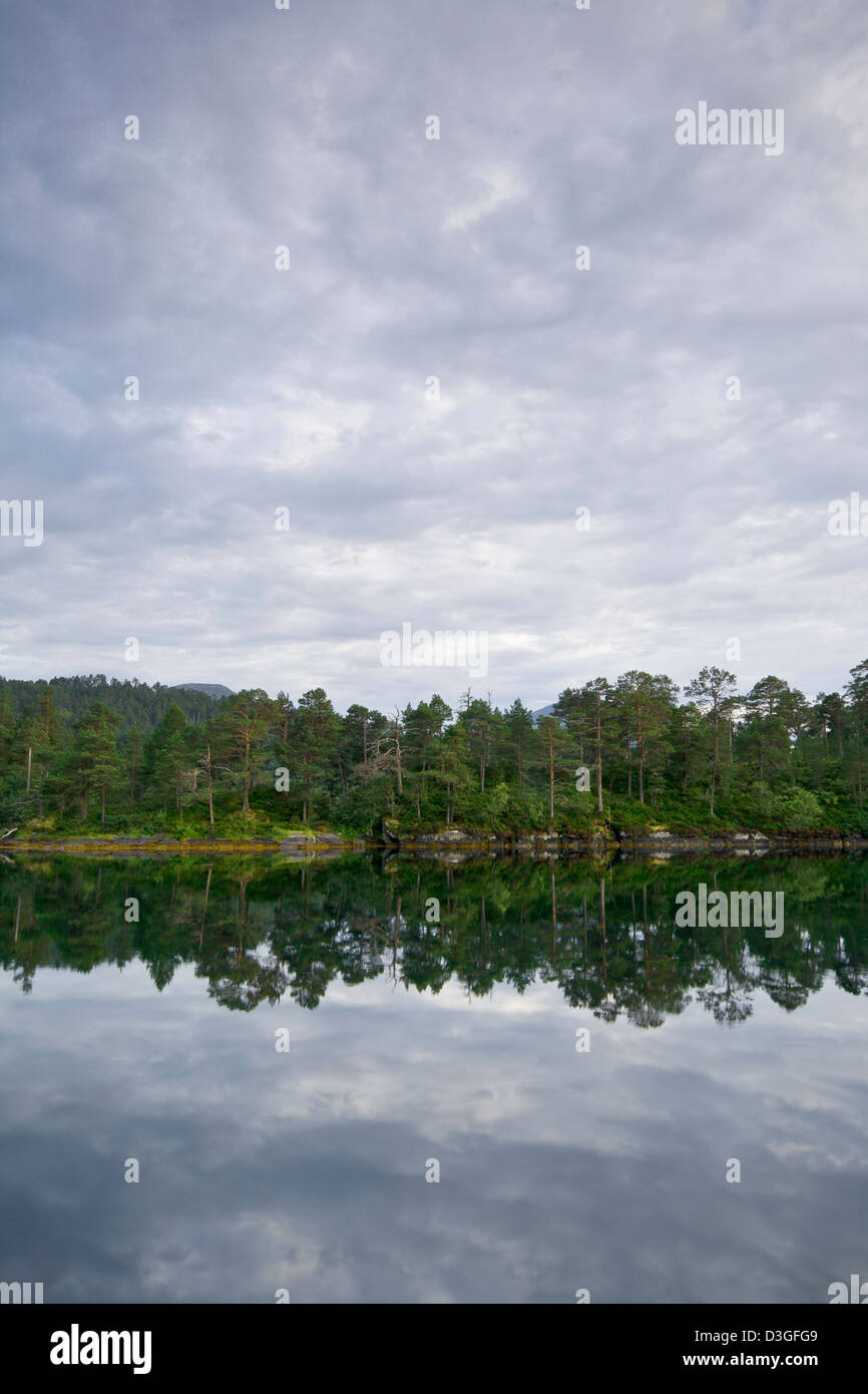 Mirror image of a northern coniferous forest in the still fjords waters ...