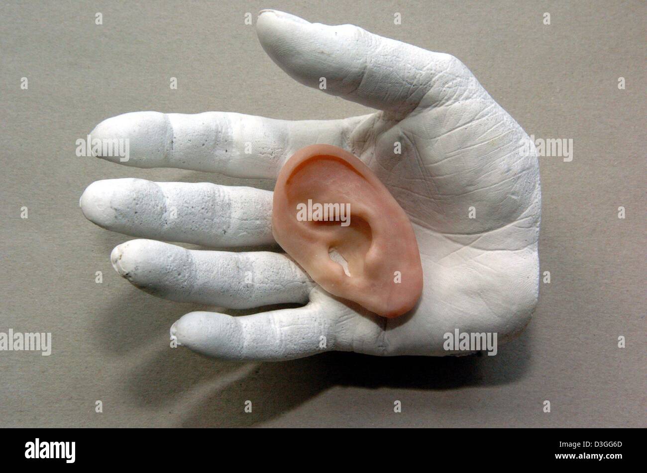 (dpa) - A hand out of plaster holds an ear prosthesis made of silicone ...