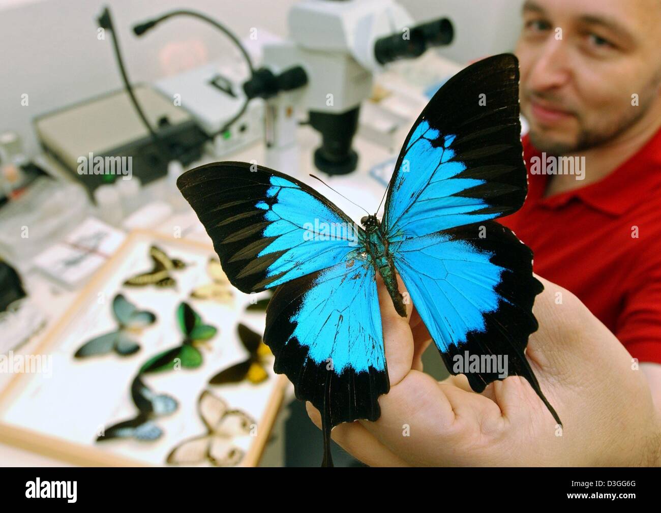 (dpa) - Biologist Stephan M. Blank of the German Institute for ...