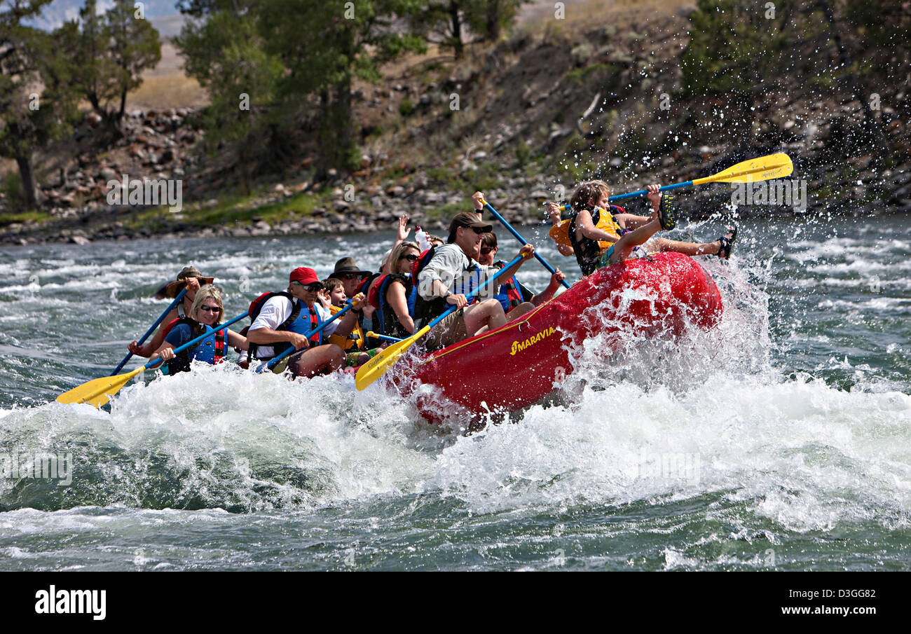 Whitewater rafting, Yellowstone river, near Gardiner, Montana, USA ...