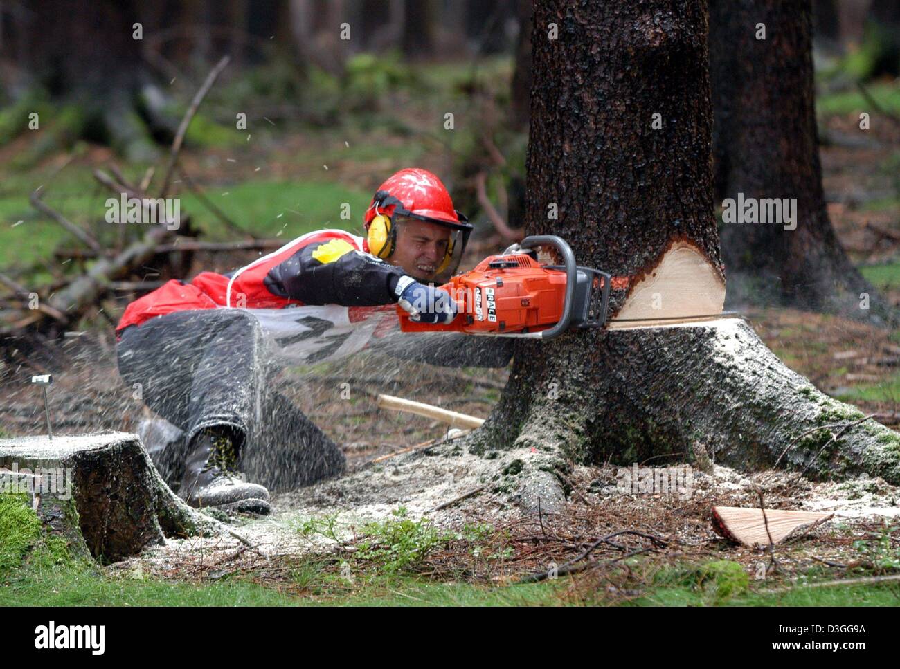 Lumberjack sports hi-res stock photography and images - Alamy