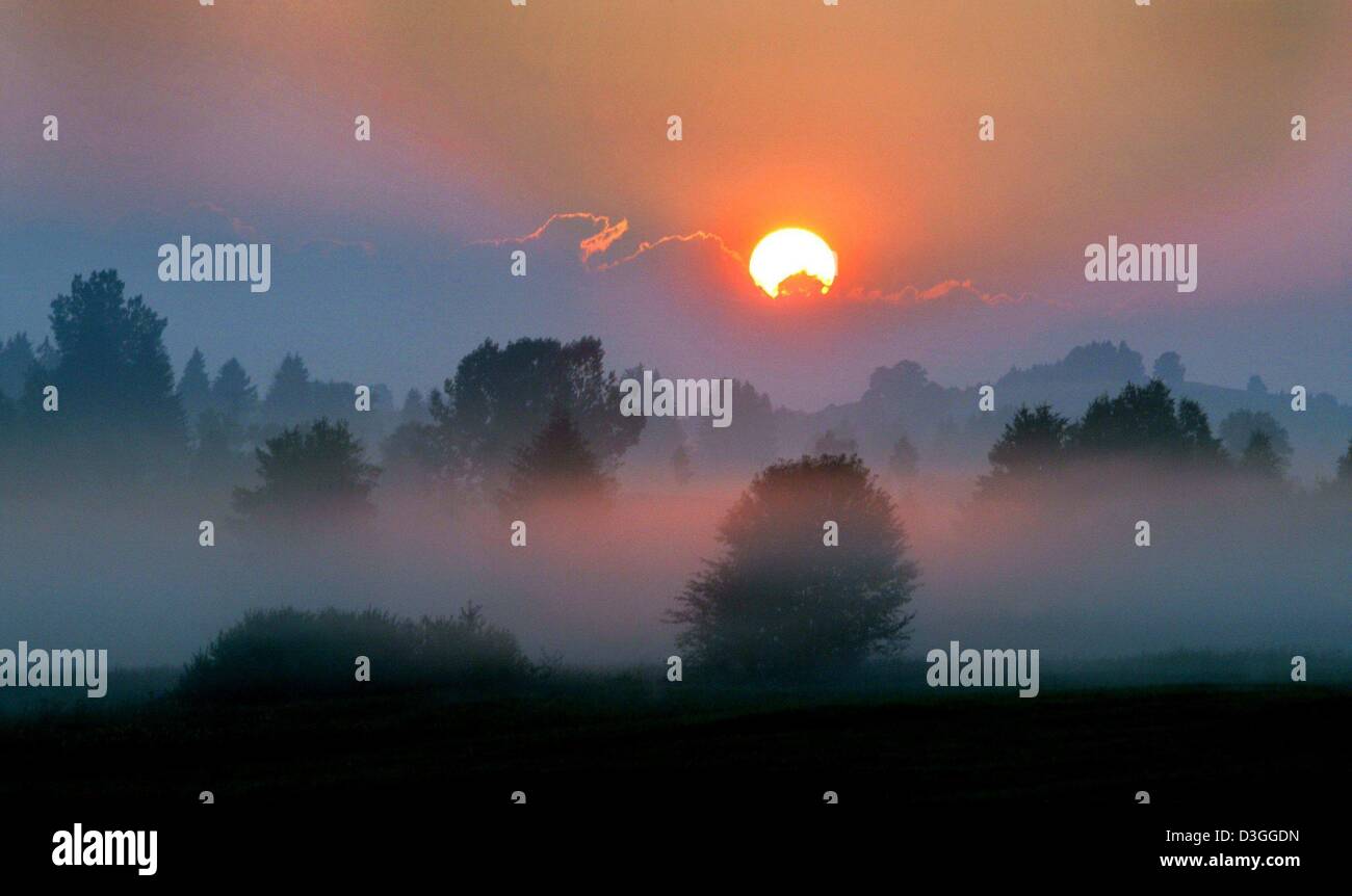 Human interest hum nature sun sunset dunst trees bushes germany hi-res ...