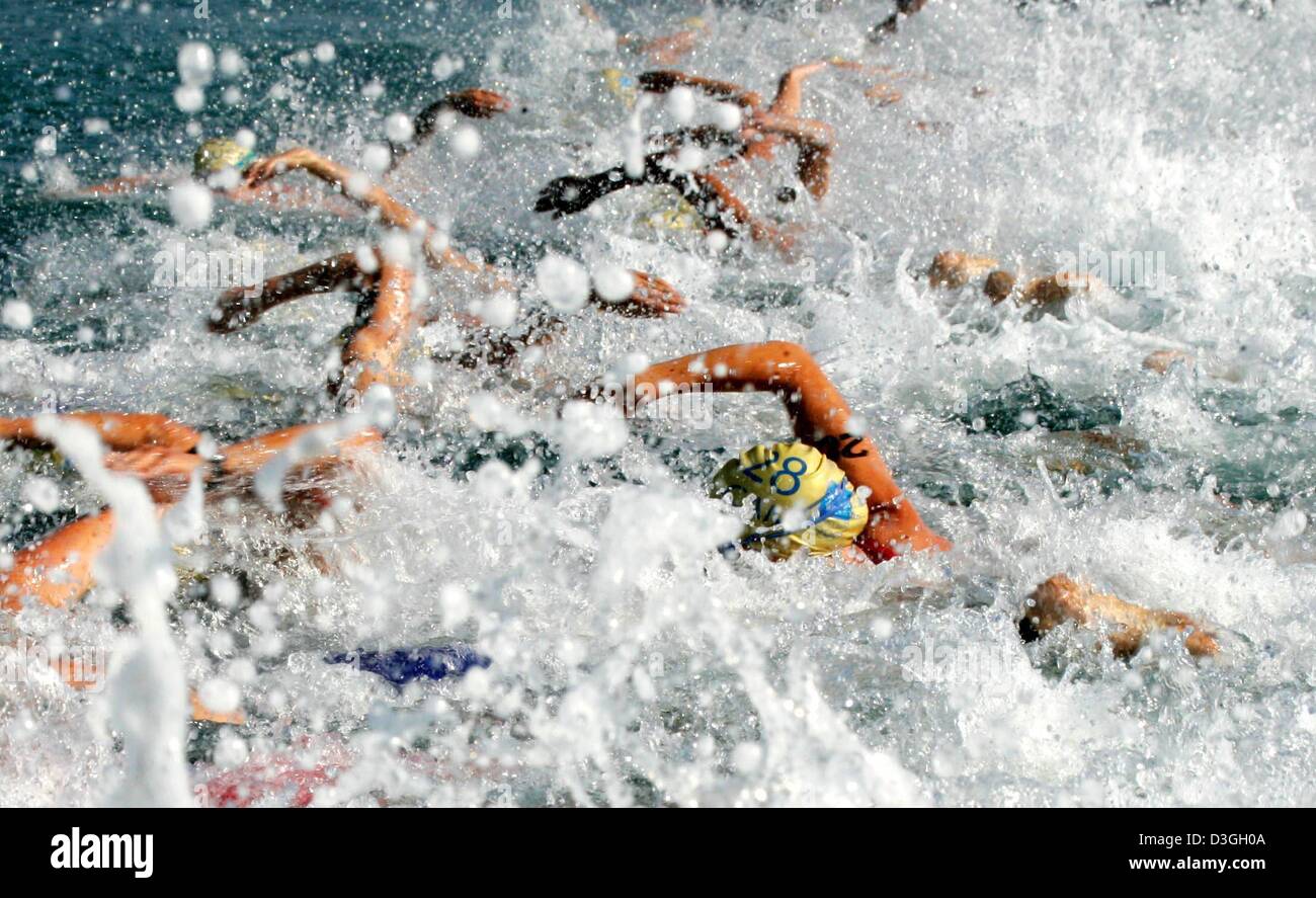 (dpa) - Athletes swim during the Women's Olympic triathlon in Athens ...
