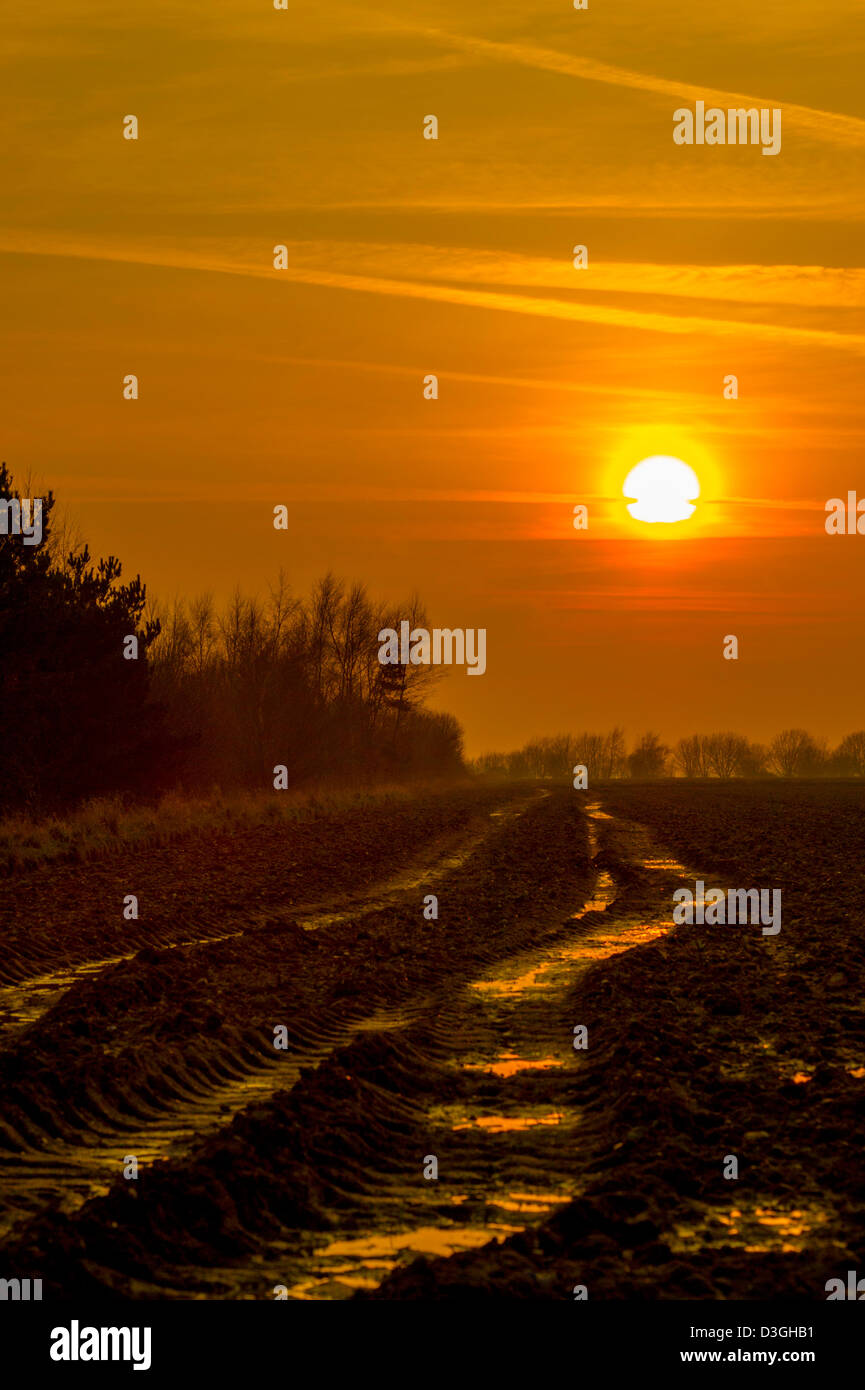 Norfolk arable field hi-res stock photography and images - Alamy