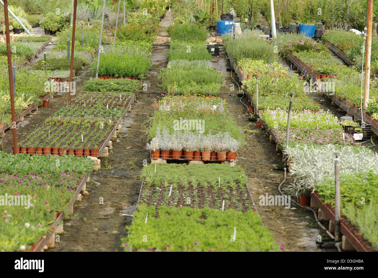 Botanic research lab hi-res stock photography and images - Alamy