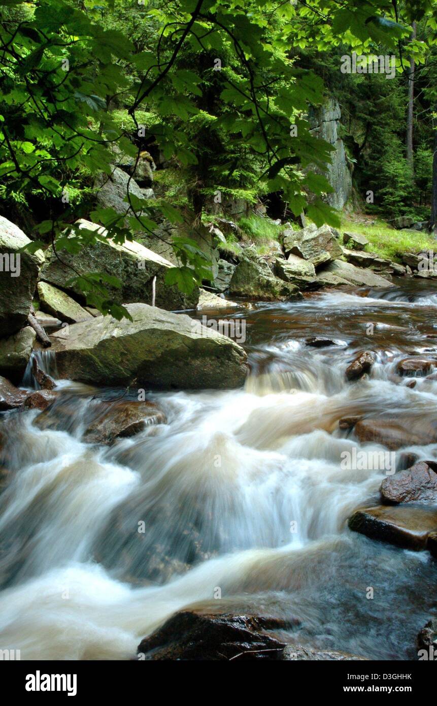 (dpa) - The valley of the 'Schwarze Pockau' is full of scenic creeks ...