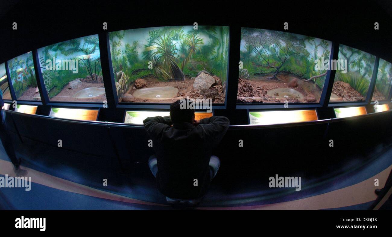 Back view of snake hi-res stock photography and images - Alamy