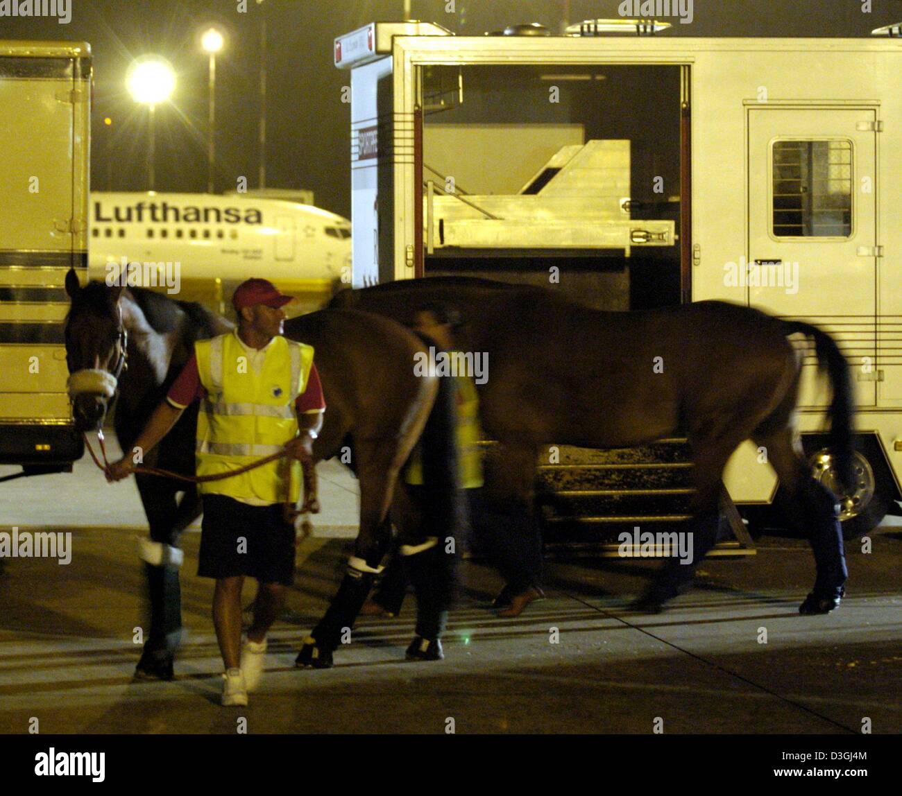 Horse trainers night hi-res stock photography and images - Alamy