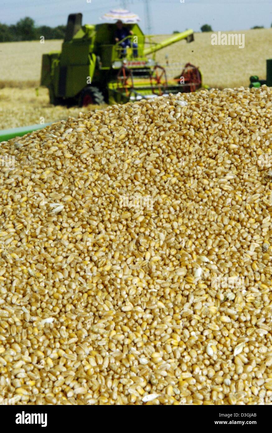 Economy business finance ebf agriculture field wheat harvest germany hi ...