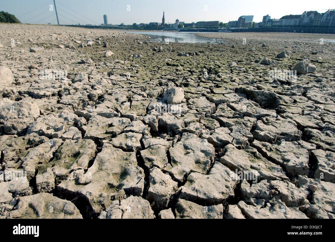 (dpa) - A view of the dried out river bed of the Rhine in Duesseldorf ...