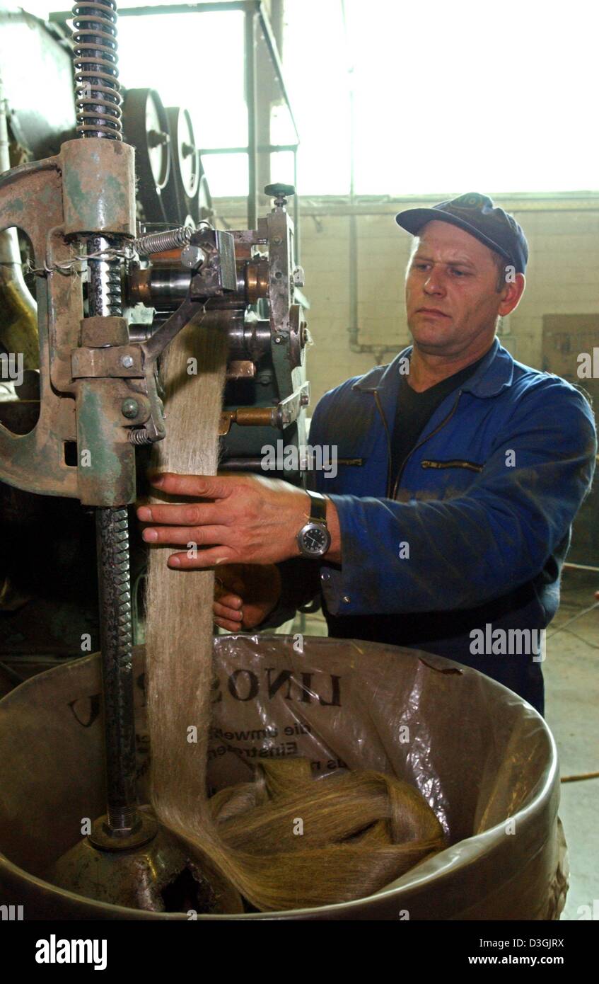 (dpa) - Andre Mattern, employee at Germany's only flax processing plant ...