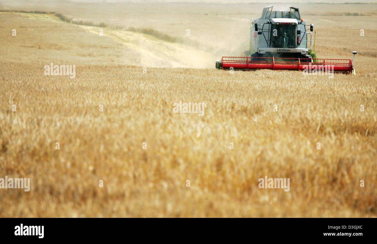 (dpa) - A combine harvester is harvesting crops on a field near Wildberg, Germany, 24 July 2004 ...
