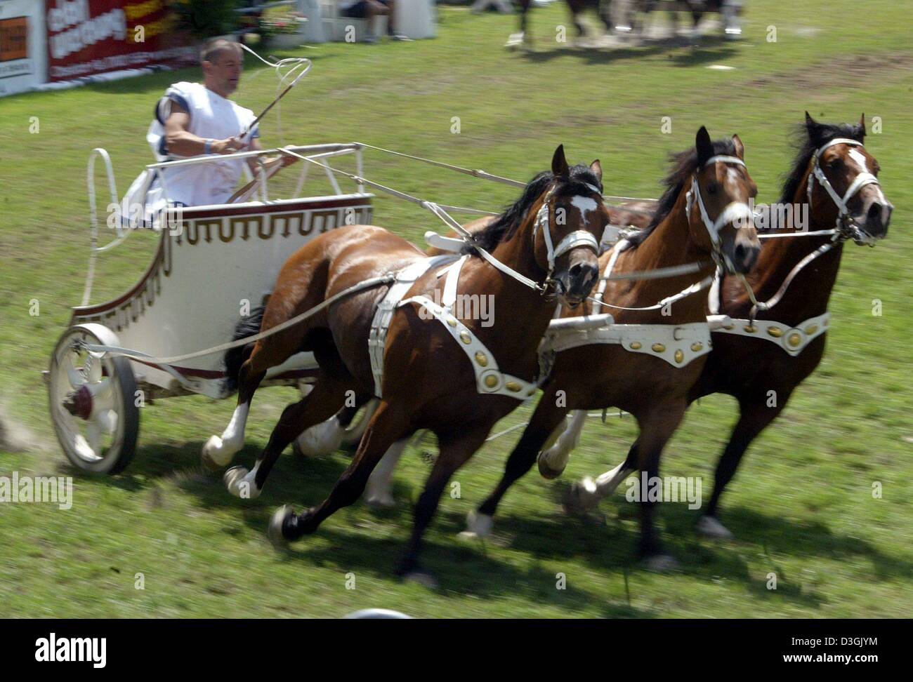 Quadriga 4 horse chariot race hi-res stock photography and images - Alamy
