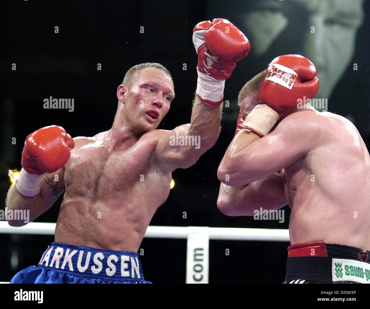 Boxer rudy hi-res stock photography and images - Alamy