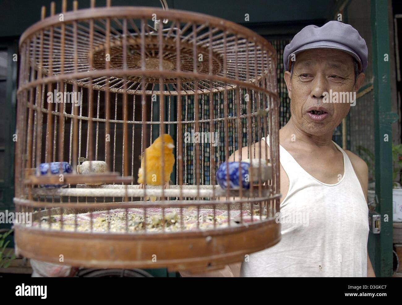(dpa) - A man looks at his canary bird sitting in a cage in the old ...