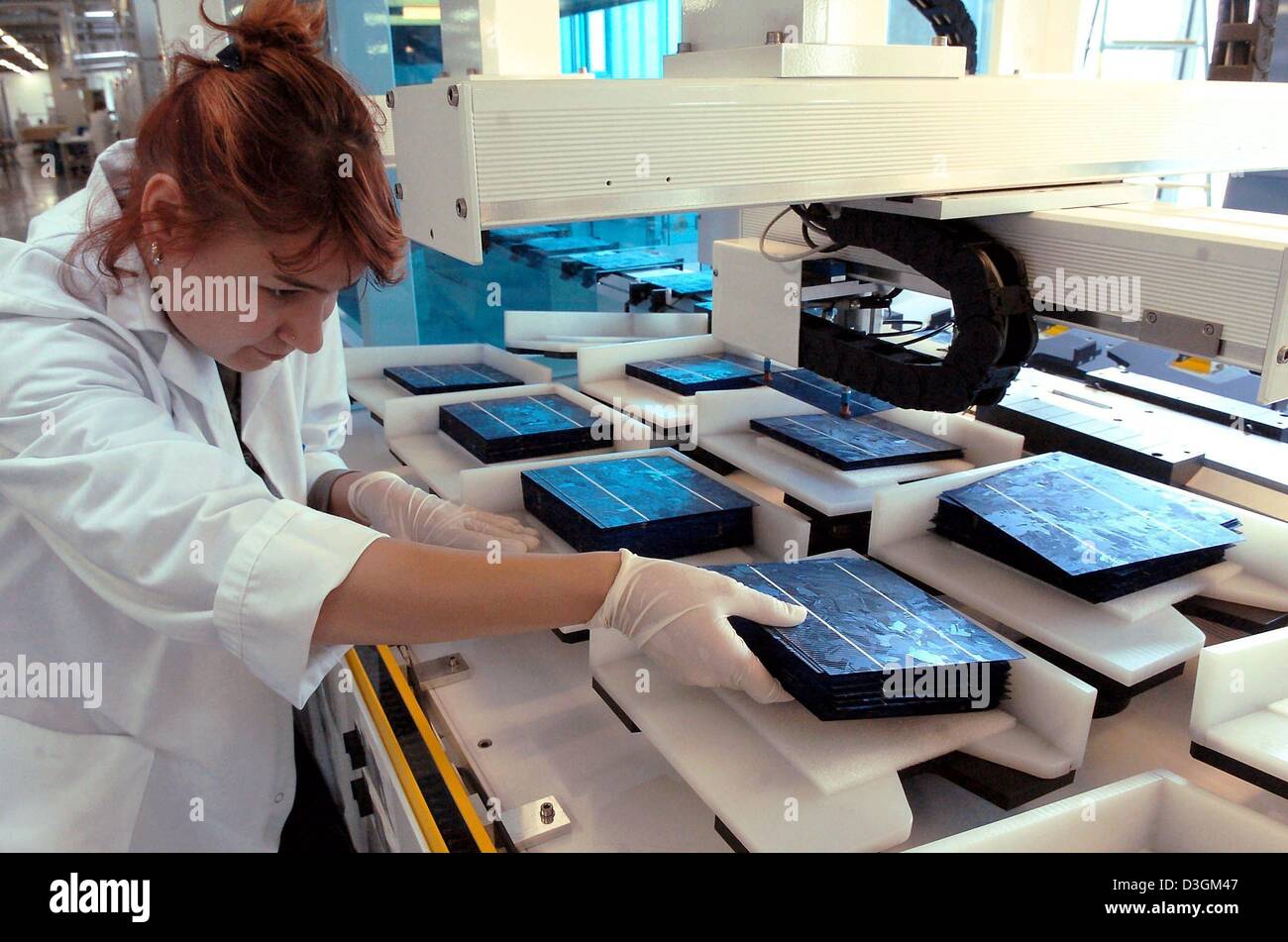 (dpa) - Employee Rebecca Rothe takes a pile of solar cells from a line ...