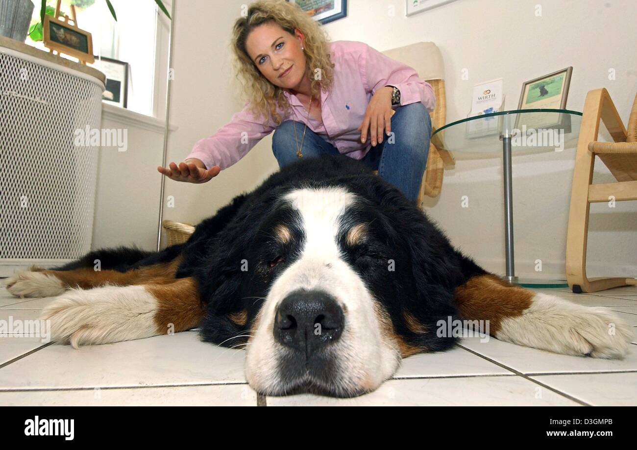 Abnormal behaviour hi-res stock photography and images - Alamy