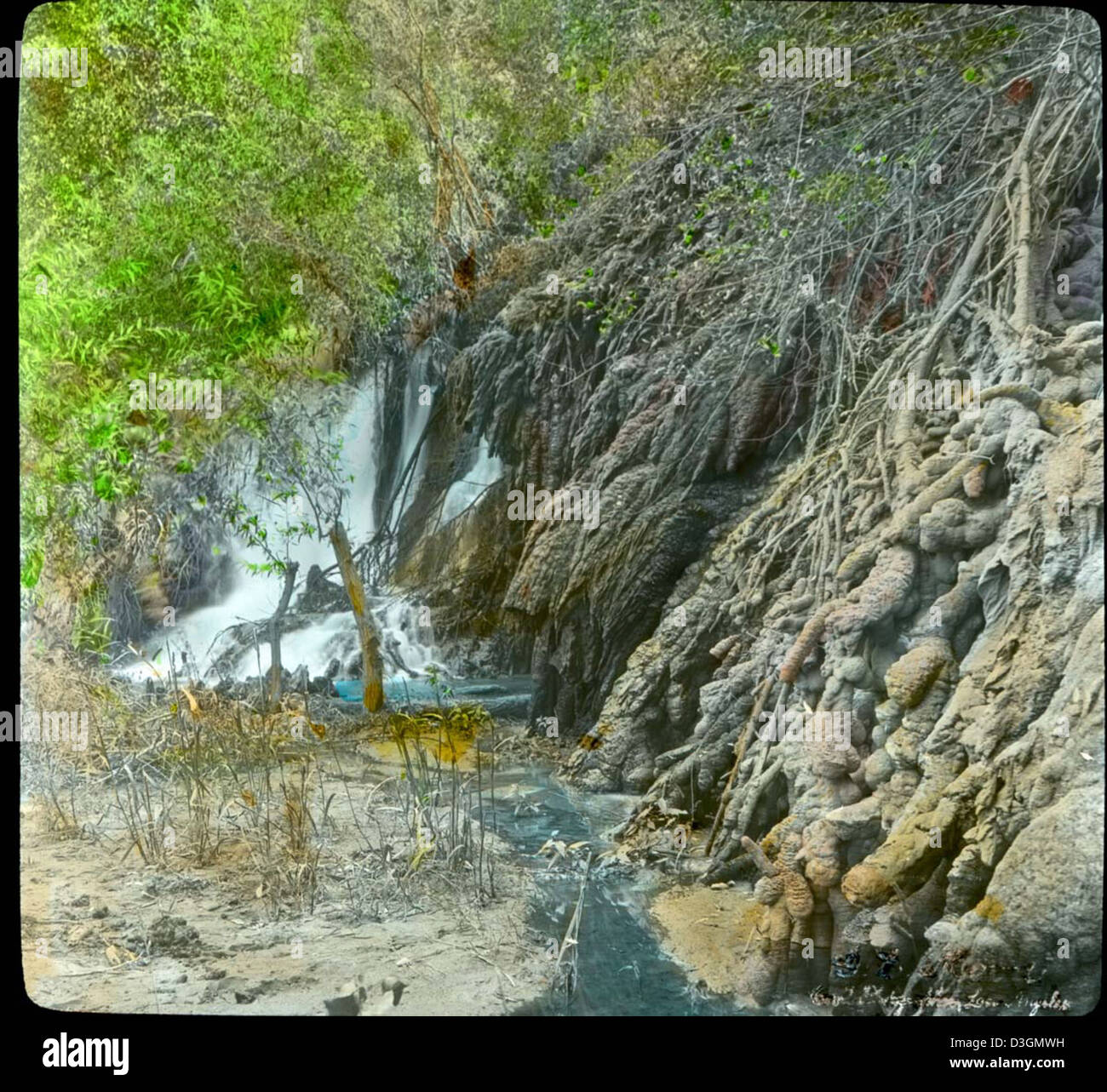 The Havasupai, a Native American tribe in the Grand Canyon, have a long ...