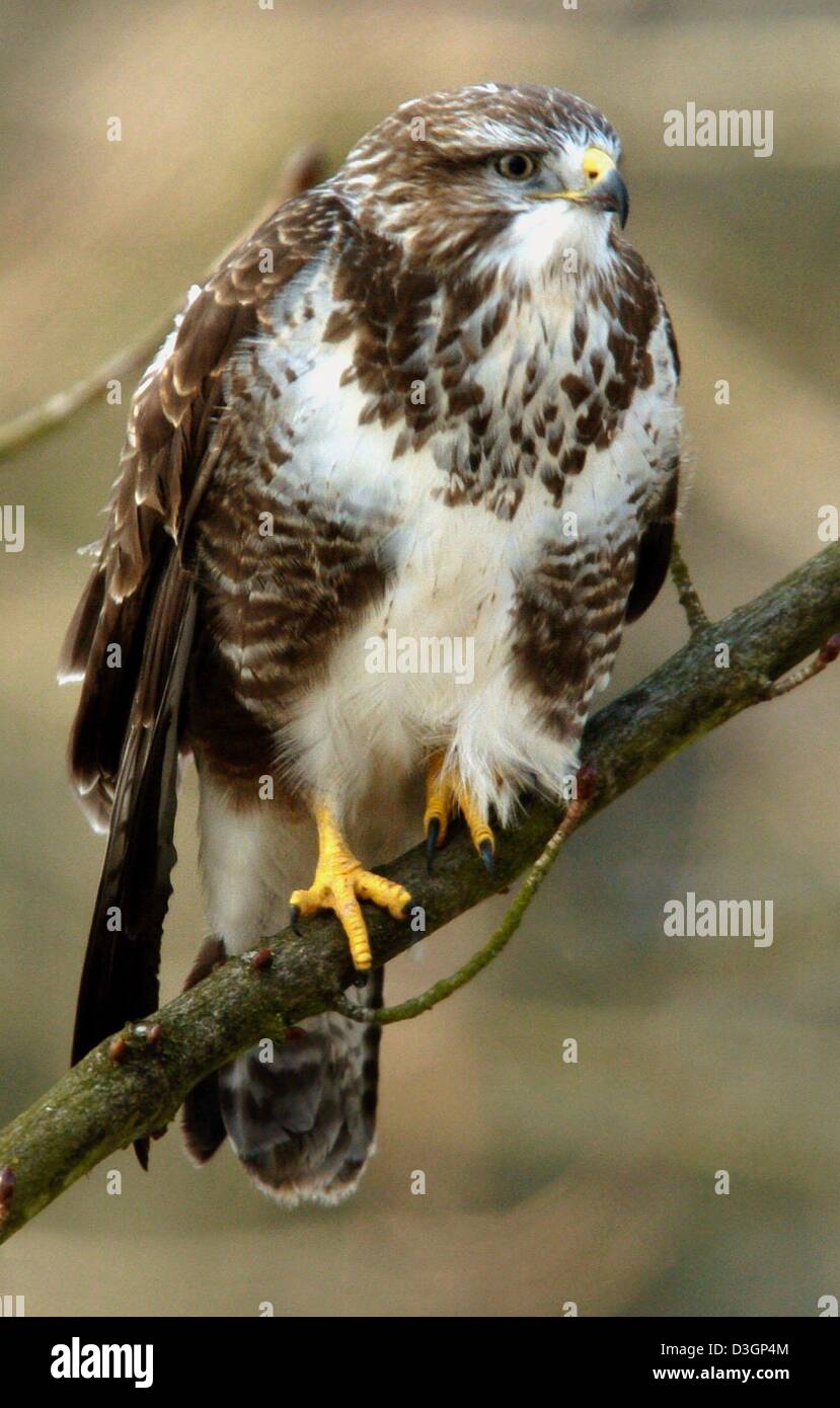 Food tend hi-res stock photography and images - Alamy