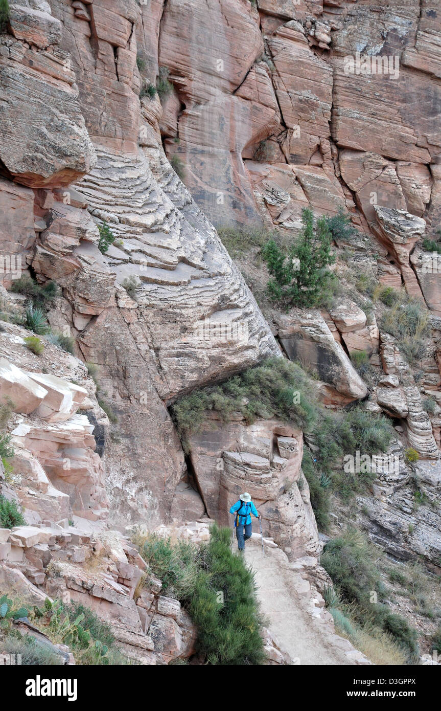 The Coconino Sandstone in Grand Canyon National Park is a prominent ...