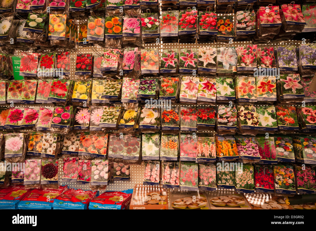 Packs Of Flower Bulbs Stock Photo - Alamy