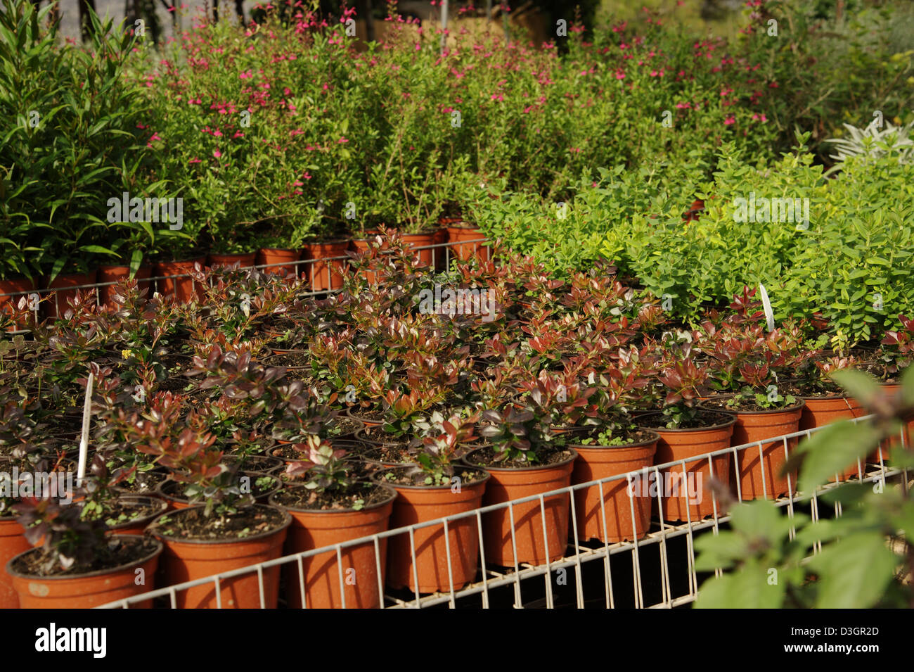 Botanic research lab hi-res stock photography and images - Alamy